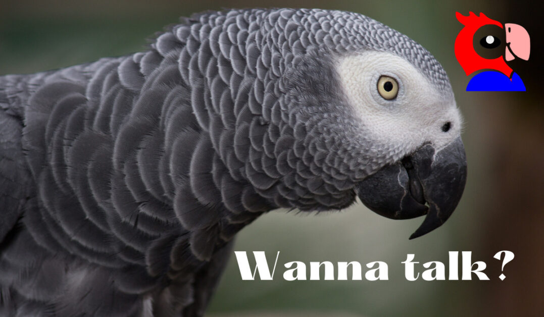 Java Tree Parrot Playstand - product review